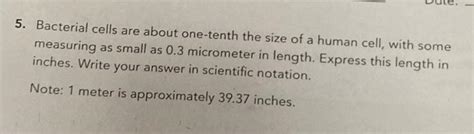 Solved 5 Bacterial Cells Are About One Tenth The Size Of A Chegg Com