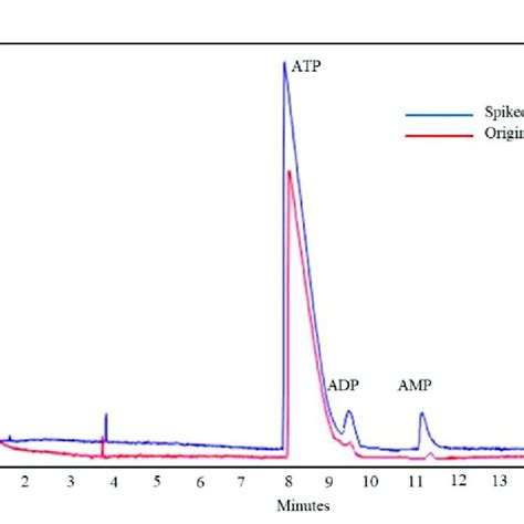 Chemical Structures Of Adenosine Triphosphate ATP Adenosine Download Scientific Diagram