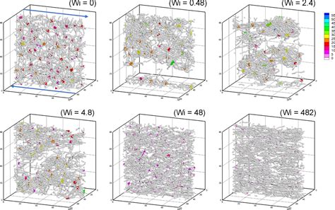 Self Organization In Suspensions Of End Functionalized Semiflexible Polymers Under Shear Flow