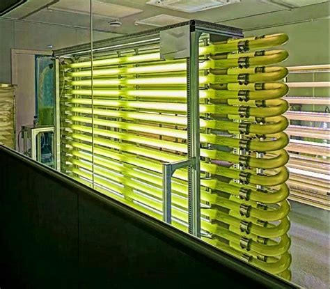 Automatic Scale Up Outdoor Helical Algae Photobioreactor Bioreactor With Mobile Control At