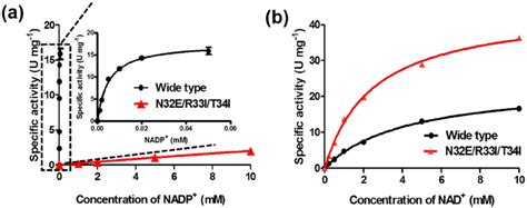 The Kinetic Parameters Towards A Nadp And B Nad Of The Download Scientific Diagram