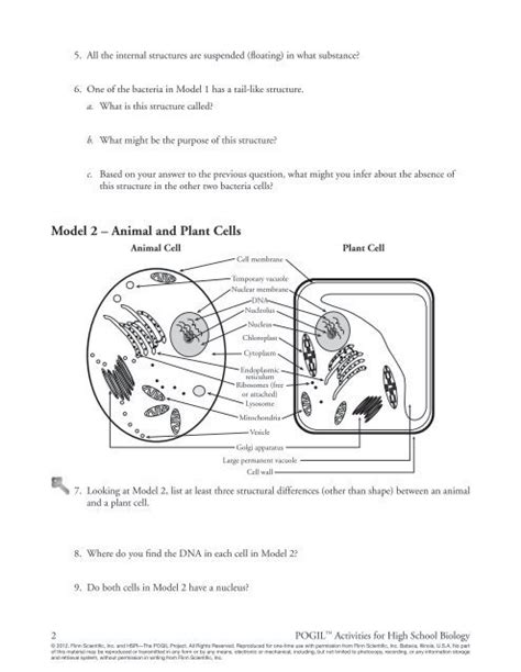 Cell Structure And Function Review Diagram Quizlet