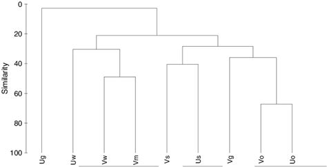 dendrogram for hierarchical clustering group—average linking of the
