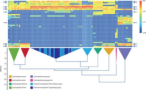 Cuticular Lipid Profiles Of Selected Species Of Cyclocephaline Beetles
