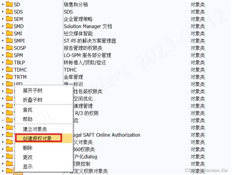 sap 自定义权限对象开发与使用 sap自定义权限对象 csdn博客