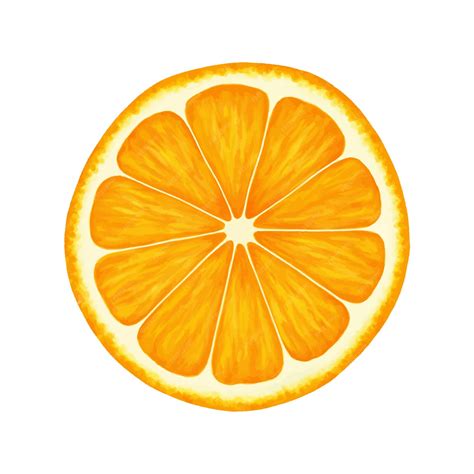 Orange Slice Vector