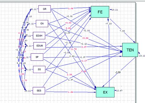 Full Empirical Path Model Between Spiritual Health Pregnancy Worries