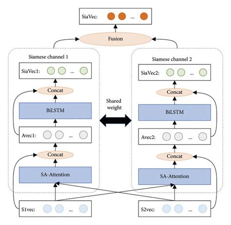 Siamese Interaction Structure Download Scientific Diagram