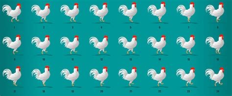 Premium Vector Pigeon Flying Animation Sequence Loop Animation Sprite