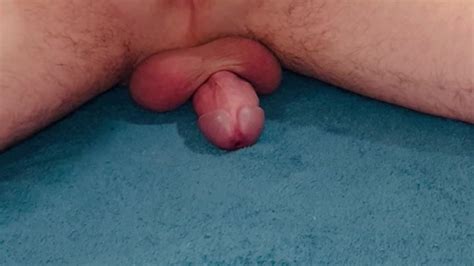 Hands Free Cum From Prostate Massage Free Sex Video Redtube