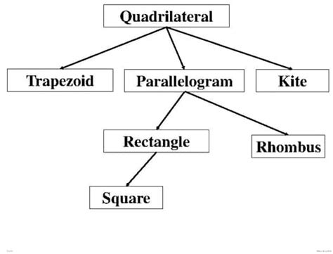 Quadrilateral Hierarchy By Soaring Bird Mathematics Tpt