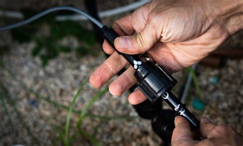 How To Calibrate Ec Probe A Guide Growee