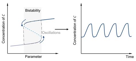 Oscillations