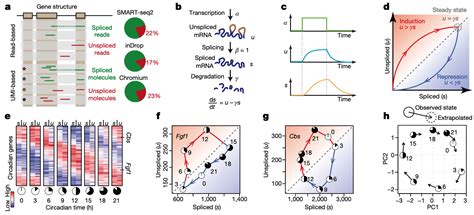 chapter 3 trajectory inference and rna velocity hku single cell