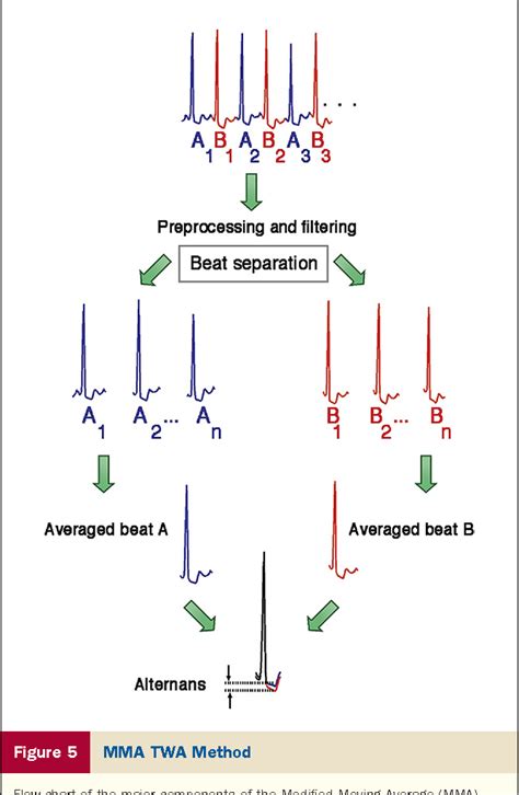 Figure 1 From Microvolt T Wave Alternans Physiological Basis Methods