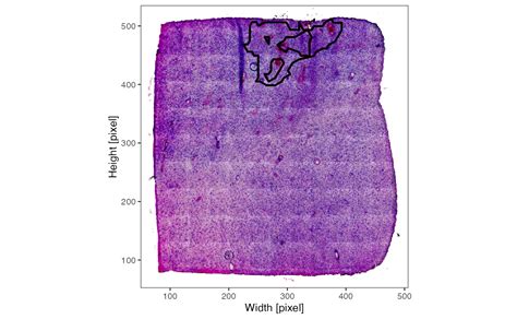 Creating Spatial Annotations • Spata2