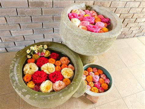 【鹿児島】絶景の「大隅半島」をめぐる旅の写真（かのやバラ園）