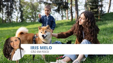 Iris Melo Cão Em Foco Portal Tempo Novo