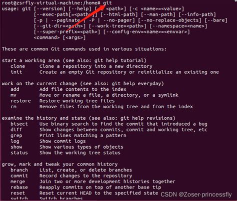 ubuntu 22 04部署mininet遇到的问题 ubuntu 22 04 mininet csdn博客