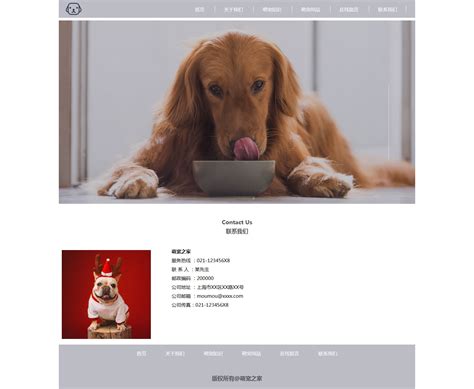 精美萌宠动物宠物之家 网页html css表单图集 精选下载 作业秀