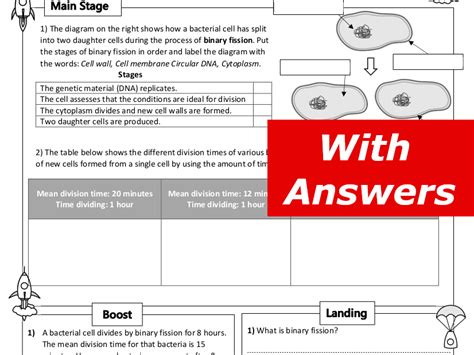 Binary Fission Home Learning Worksheet Gcse Teaching Resources Binary Fission Home Learning Worksheet Gcse Teaching Resources