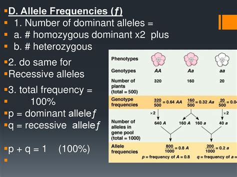 Evolution Of Populations Ppt Download