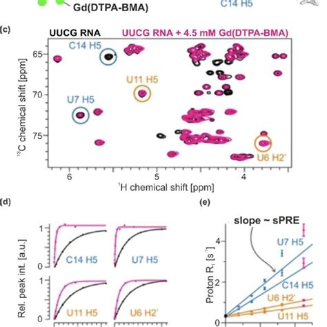 Spres Can Be Used As Restraints In Rna Structure Determination A
