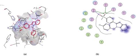 Binding Of The Compound 4b Inside Cox 2 Active Site A The 3d Download Scientific Diagram