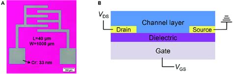 Electrode Structures Of Samples A Top View Diagram Of The