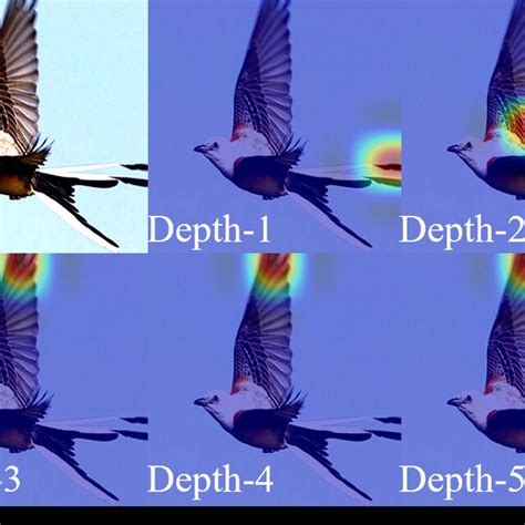 Top 1 Accuracy Of A Vit Net With Effect Of The Depth Of The Neural Tree Download Scientific