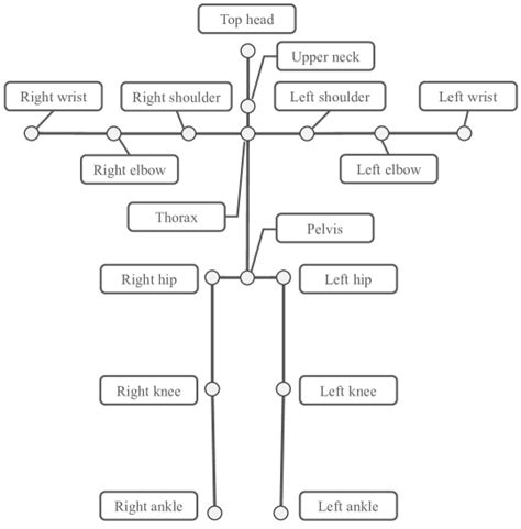 [2004 03811] Mirrornet A Deep Bayesian Approach To Reflective 2d Pose Estimation From Human Images