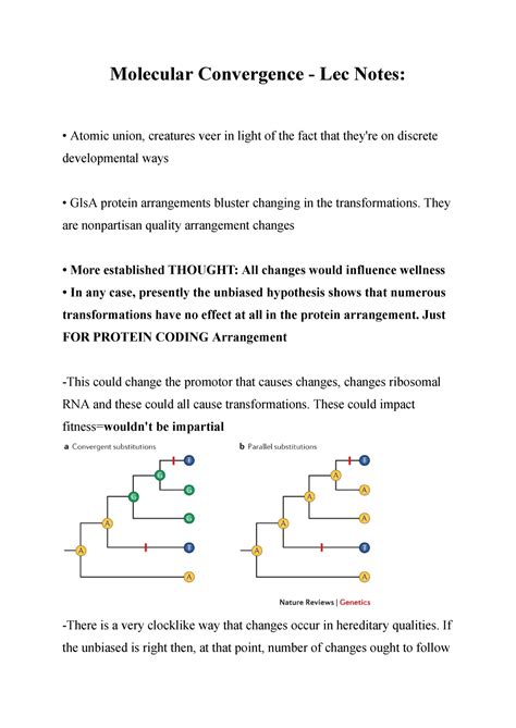 Molecular Convergence Lec Notes Molecular Convergence Lec Notes