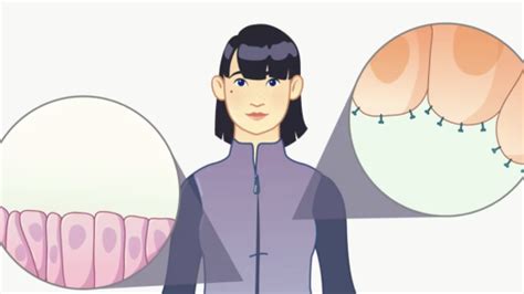 Immune Tolerance Harvard University