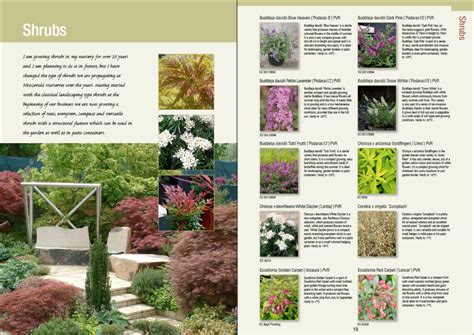 Garden Catalogues Fasci Garden