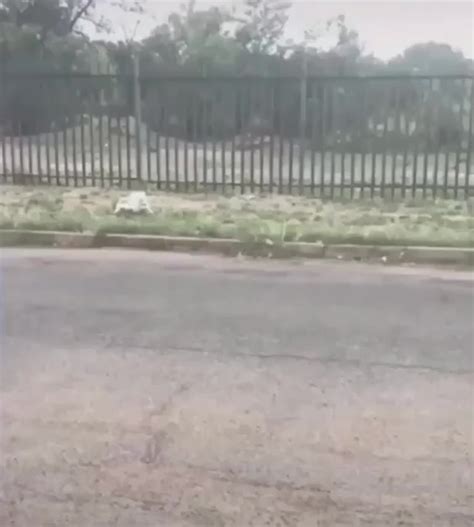 If No One Has Told You Today Album On Imgur