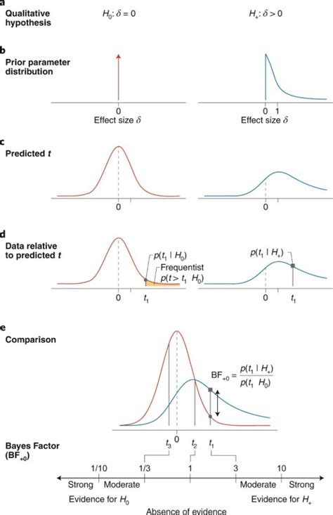 El Cerebro Bayesiano Cómo Infiere Ineurociencias