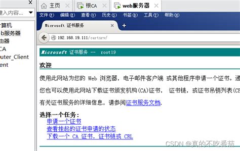 网络安全实验 网络安全协议的应用（ssl，ipsec） ipsec 抓包实验 csdn博客