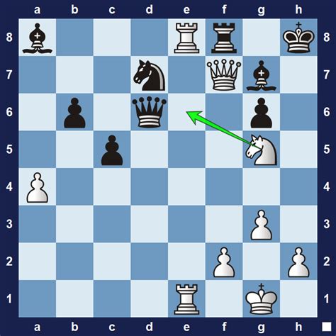 exercise 13 chessfox