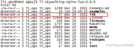 Nginx纳入skywalking调用链监控skywalking Nginx Csdn博客