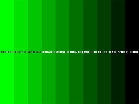 What Is 00ff00 Color In Html