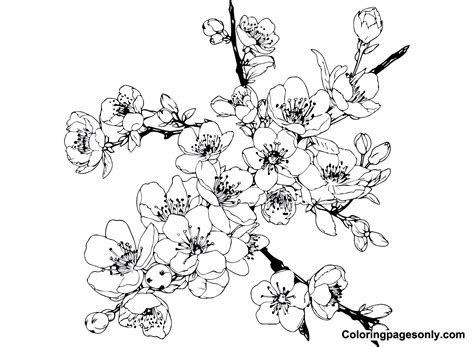 Cherry Blossom Printable - prntbl.concejomunicipaldechinu.gov.co