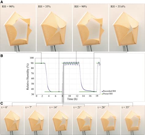 Researchers Create Bio Based Printed Shapeshifting Structures 3d Printing