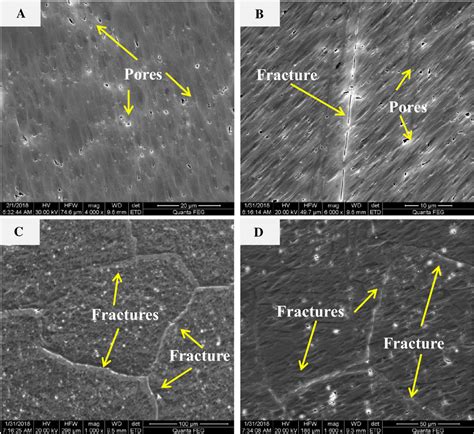 Sem Images Showing The Pores And Randomly Distributed Fractures