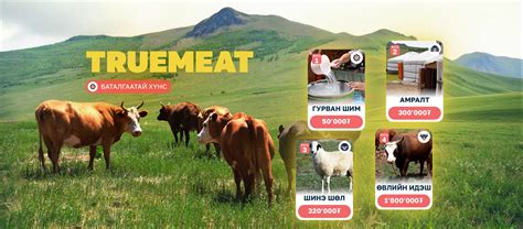 Wedu ШИНЭ ЭЛСЭЛТ БҮРТГЭЛ ЭХЭЛЛЭЭ 🥳 👨‍🏫Манай гадаад багш Марио багшийн шинэ ангийн бүртгэл