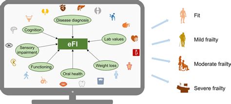 Schematic Diagram Illustrating Construction Of An Electronic Frailty