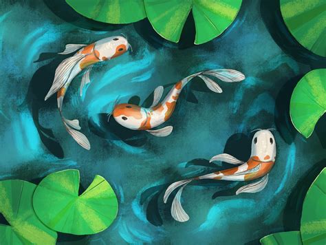 Fish Pond Drawing Art Print Pond Koi Dana Simson Design