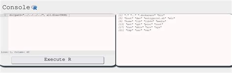 R Code Execution Root