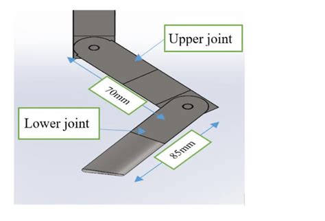 Zoomorphic Leg Structure Download Scientific Diagram