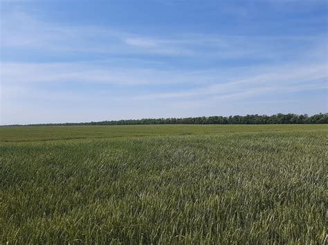 Восточно европейская равнина картинки 63 фото