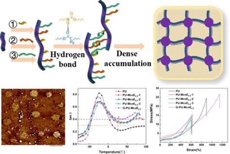 High Performance Branched Polymer Elastomer Based On A Topological Network Structure And Dynamic